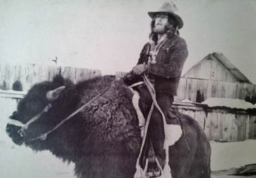 Riding Bison